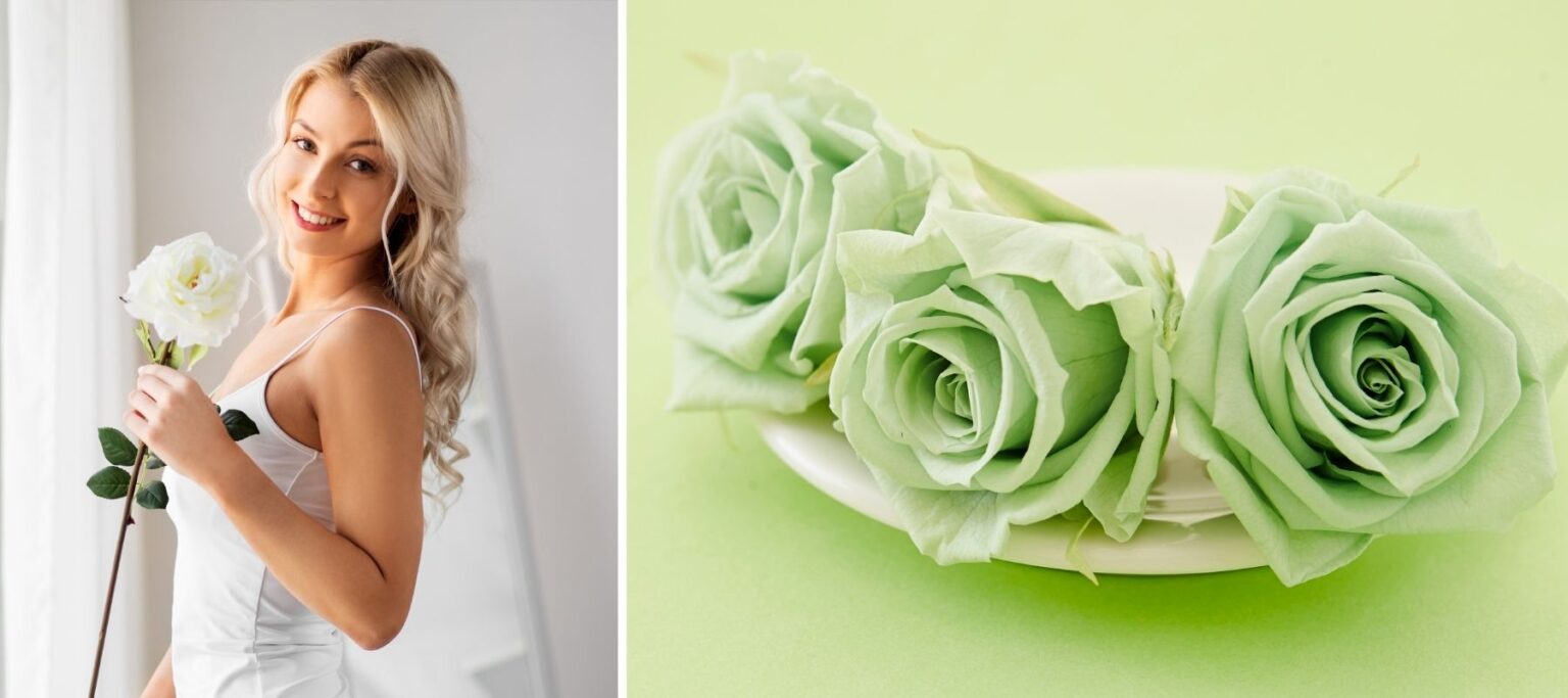 Tout ce qu'il faut savoir sur la rose verte 💚 [Symbolisme, signification]