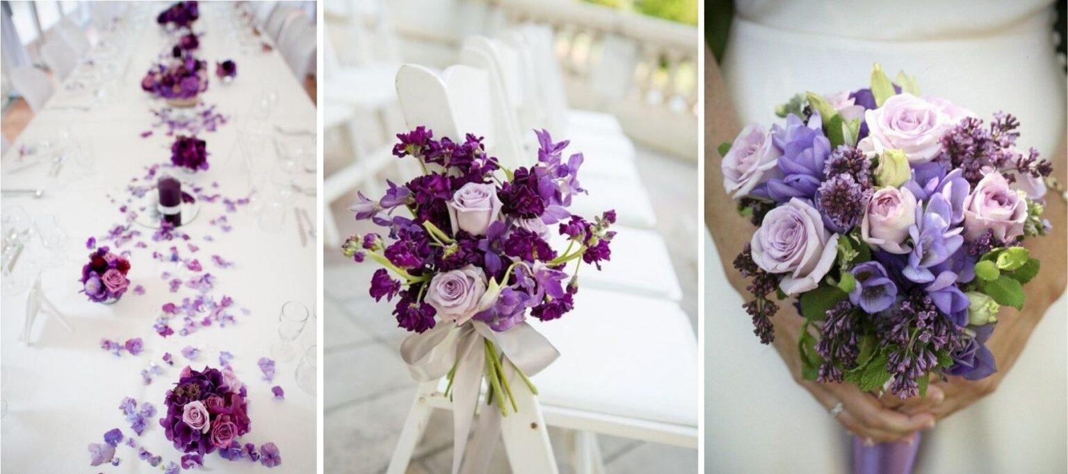 Tout ce qu'il faut savoir sur les roses violettes et mauves [Signification]